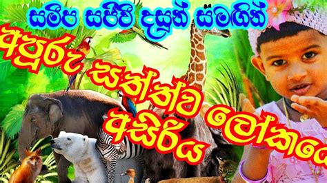 සත්ත්ව ලෝකයේ අසිරිය සමීපව දකින්න යෝධ මාලු නටන ගිරවු යෝධ සර්පයින්