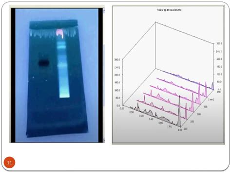 High Performance Thin Layer Chromatography Pptx