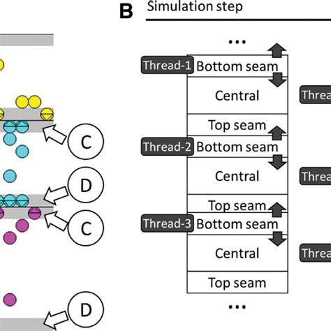 Tumoral Growth Parallel Simulation Download High Resolution Scientific Diagram