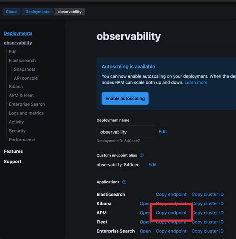 Remix Elastic Apm Client Side Setup Github