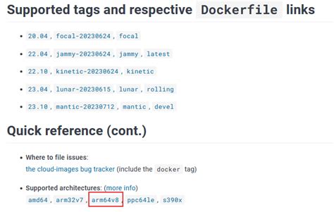 通过qemu和docker搭建交叉编译环境 Csdn博客