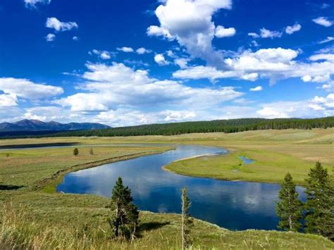 Hayden Valley Yellowstone National Park 2020 All You Need To Know