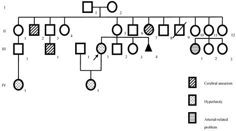 Edwards Syndrome Punnett Square