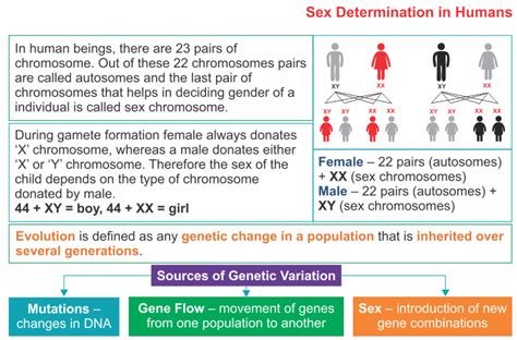 Icse Solutions For Class 10 Biology Fundamentals Of Genetics A Plus Topper