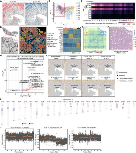 Spatially Exploring Rna Biology In Archival Formalin Fixed Paraffin Embedded Tissues Cell