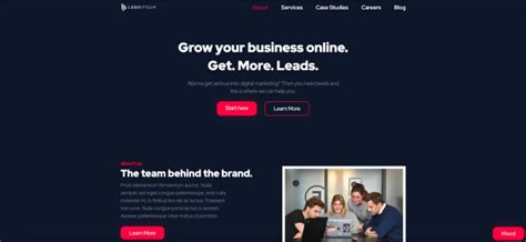 Build As Frontend Developer By Zavarzina Fiverr