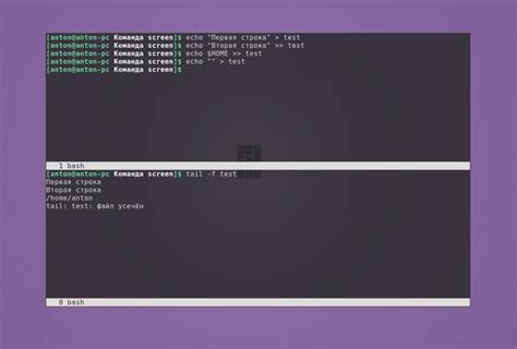 Команда Screen Linux Losst