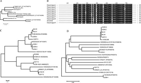 Phylogenetic Trees And Sequence Alignments Of Ctxb Rstr And Tcpa A Download Scientific
