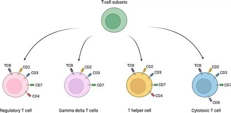 Cell Surface Markers Anygenes