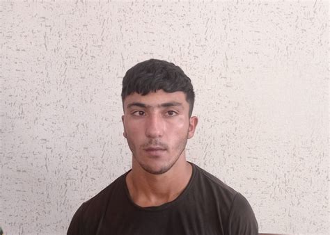 234 ədəd Xırdabuynuzlu Heyvan Oğurlayan şəxslər Saxlanılıb