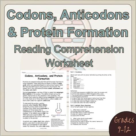 Codons Anticodons And Protein Formation High School Biology Reading