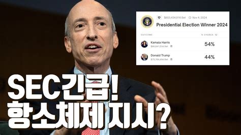 Sec 긴급 항소 준비 Xrp Youtube Sec 긴급 항소 준비 Xrp Youtube