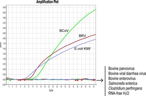 Frontiers Development And Application Of One Step Multiplex Real Time