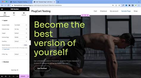 Elementor Pro Plugin Discounted Price Wordpress Page Builder