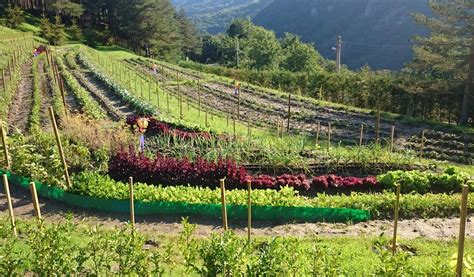 Лабораторен изпитвателен комплекс „a Lab“ ПРОФ ЙОРДАНКА СТАНЧЕВА ФИТОПАТОЛОГИЧНИЯТ АНАЛИЗ НА