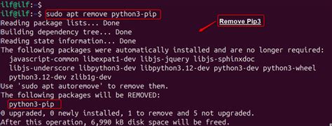 How To Install Pip3 On Ubuntu 24 04 Its Linux FOSS