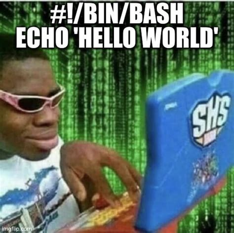 When You Start Bash Rprogrammerhumor