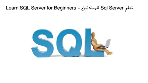 تعلم Sql Server للمبتدئين Learn Sql Server For Beginners برو سايتي