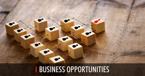 Primeglobal How To Choose The Right Entity Structure Lutz