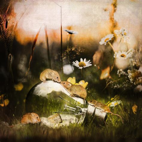 The Meaghan Pryor Interview Photoshop Artist Quill And Camera