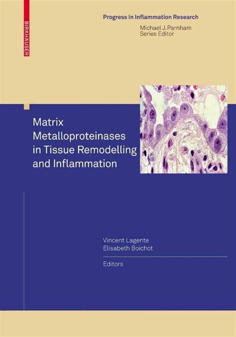 Matrix Metalloproteinases In Tissue Remodelling And Inflammation 1st Edition Premiumjs Store