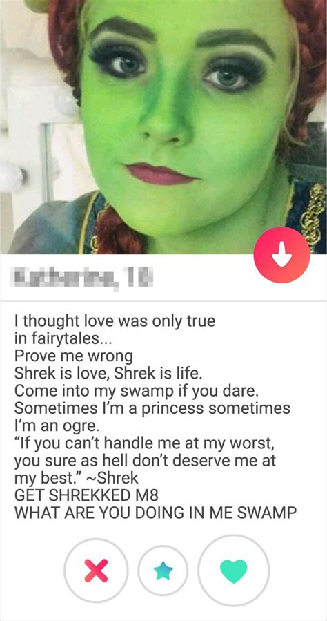 Times Peoples Bios On Dating Apps Were So Good That You Just Had To Swipe Right Bright Side