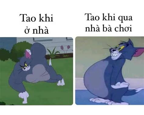 Tom Jerry Meme Siêu Cute Bộ Ảnh Chế Hài Hước Nhất