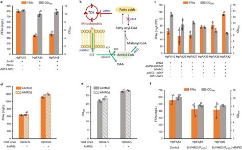 Cell Growth And Ffa Production By The Introduction Of Pdh Complex And