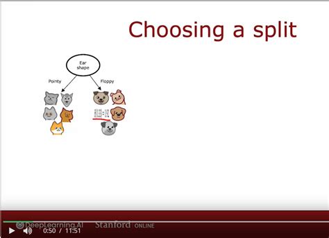 Slides With Some Graphical Artifacts Advanced Learning Algorithms