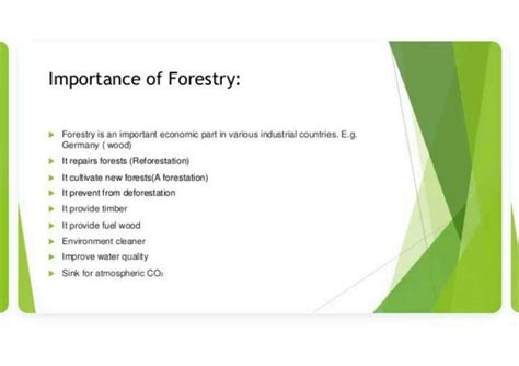 Solution Understanding The Different Branches Of Forestry A