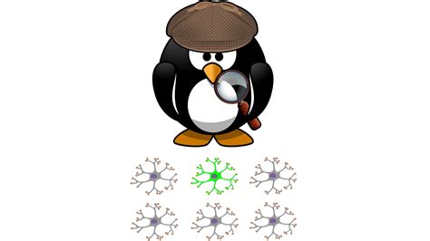 Incredible Llms For Coding And Where To Find Them