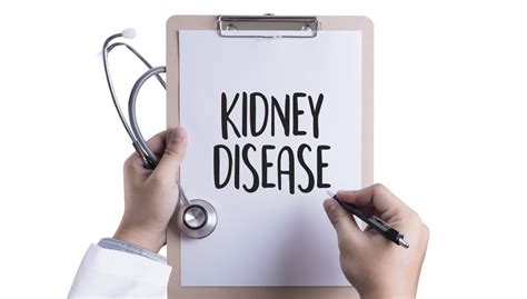 Questions For Ckd Patients Mesi Simplifying Diagnostics