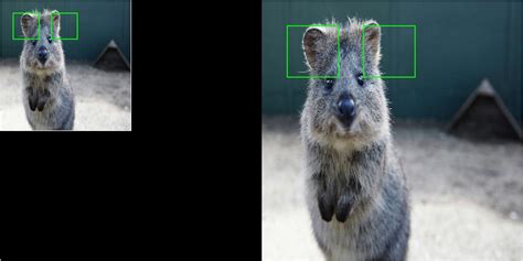 Examples Bounding Boxes Imgaug Documentation