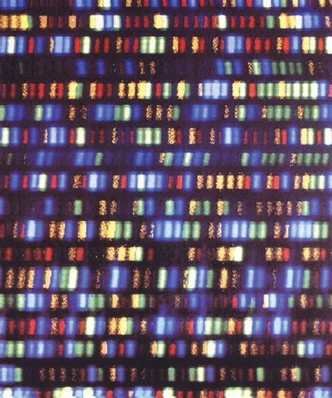 Genome Sequence