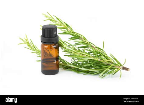Glass Bottle Of Essential Rosemary Oil With Rosemary Branch Isolated On