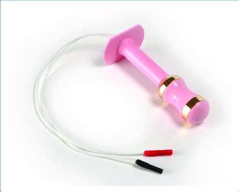 Intravaginal Probe Used With Transcutaneous Electrical Nerve Download Scientific Diagram