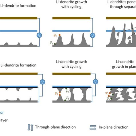 Graphical Illustration Of Dendrite Formation Within Battery Leading To