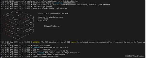 【centos安装redis】（超详细）centos 安装redis Csdn博客