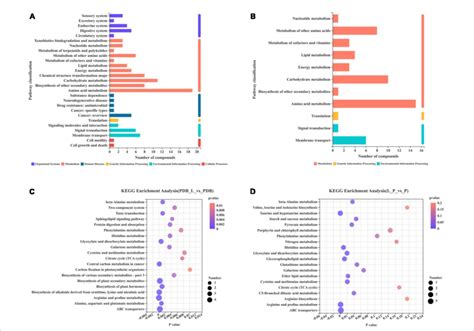 Differential Metabolites Involved In Each Metabolic Pathway And The