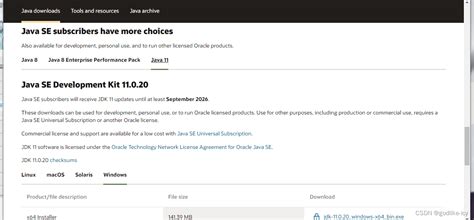 安装jdk（java se development kit）超详细教程 csdn博客