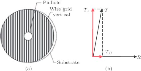 Color Online Ppdp A Structure B Polarization Analysis Of