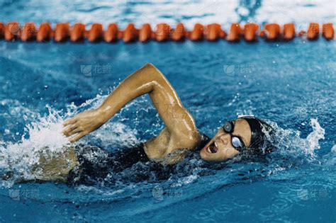 女性自由式游泳奥运国际性体育比赛泳衣泳道竞技运动公共游泳池游泳护目镜游泳池