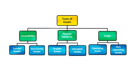 Types Of Assets In An Organization Assets Classification With Examples Images