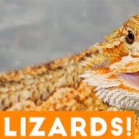 Selin Bashman Kings College London London Kcl Department Of Management Research Profile