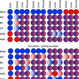 Possible Simulated FMRI Data Features For All Models Columns 213 For Download Scientific