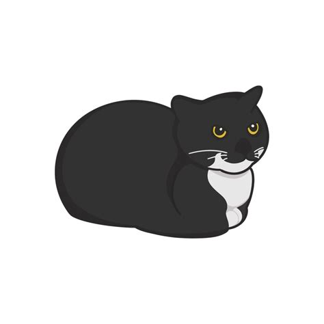 Maxwell Cat Meme Sticker T Shirt Cute Illustration Png