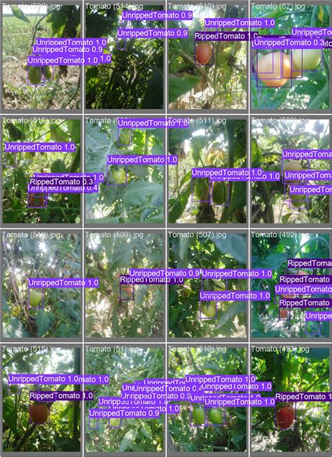 Do Object Detection Using Yolo Cnn Rnn And Opencv By Engrmfurqan Fiverr