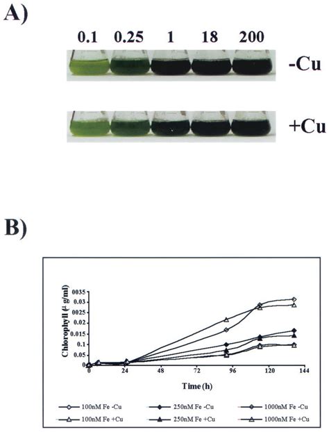 Effect Of Iron Concentration On Growth Of C Reinhardtii A C Download Scientific Diagram