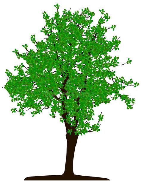 Trees Grass Plant Vector Stock Vector Illustration Of Land 3570665