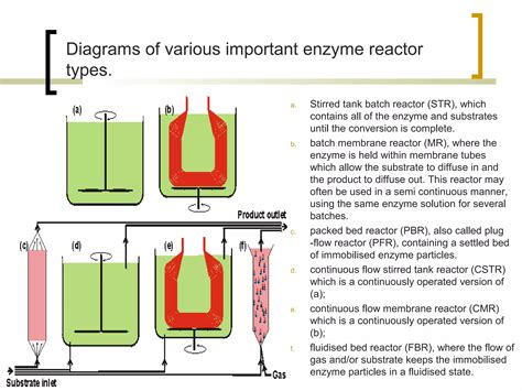 Immobilized Enzyme Reactors Batch And Continuous Types Ppt